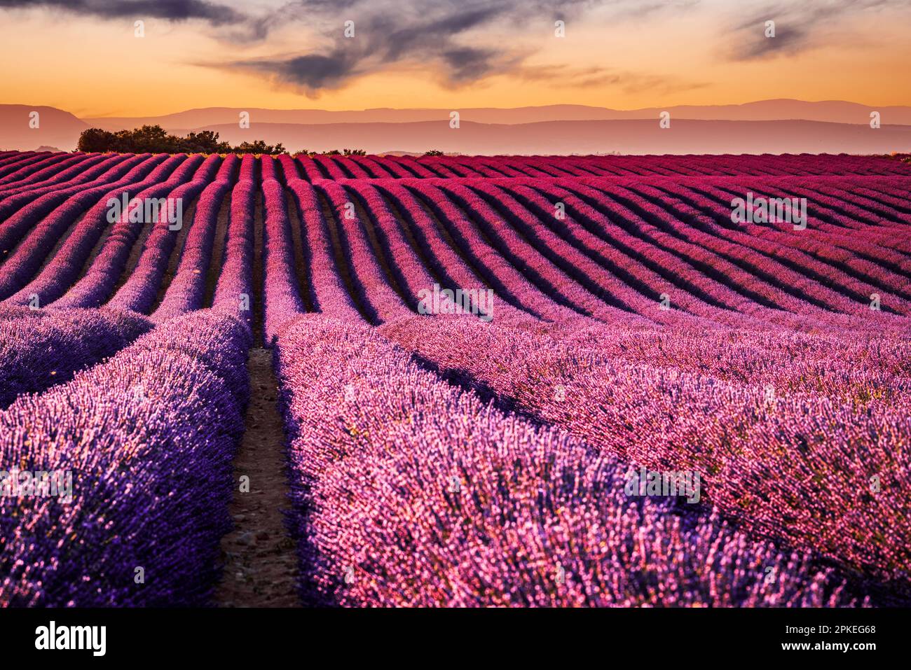 Vibrant hue hi-res stock photography and images - Alamy