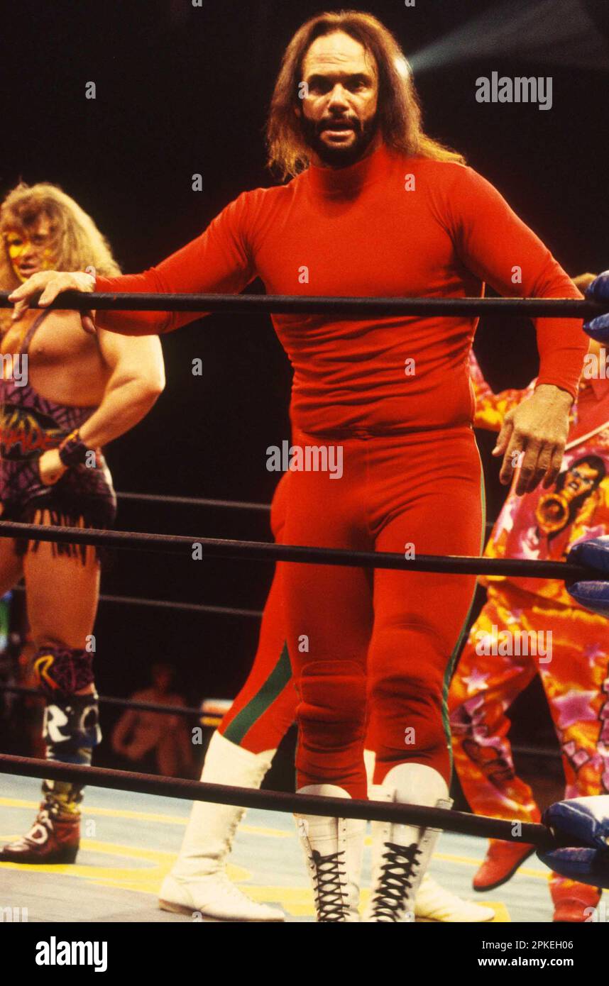 1995 Randy Savage Photo by John Barrett/PHOTOlink Stock Photo - Alamy