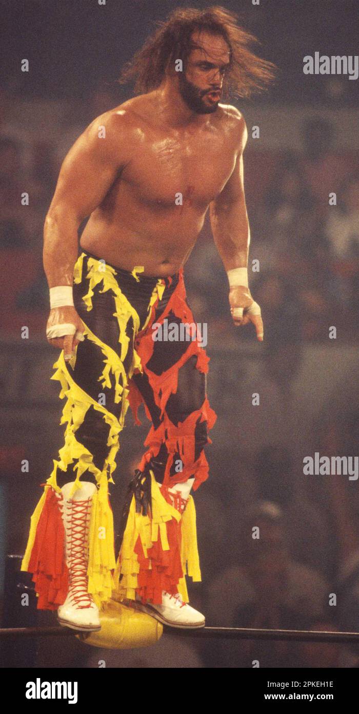 1995 Randy Savage Photo by John Barrett/PHOTOlink Stock Photo - Alamy