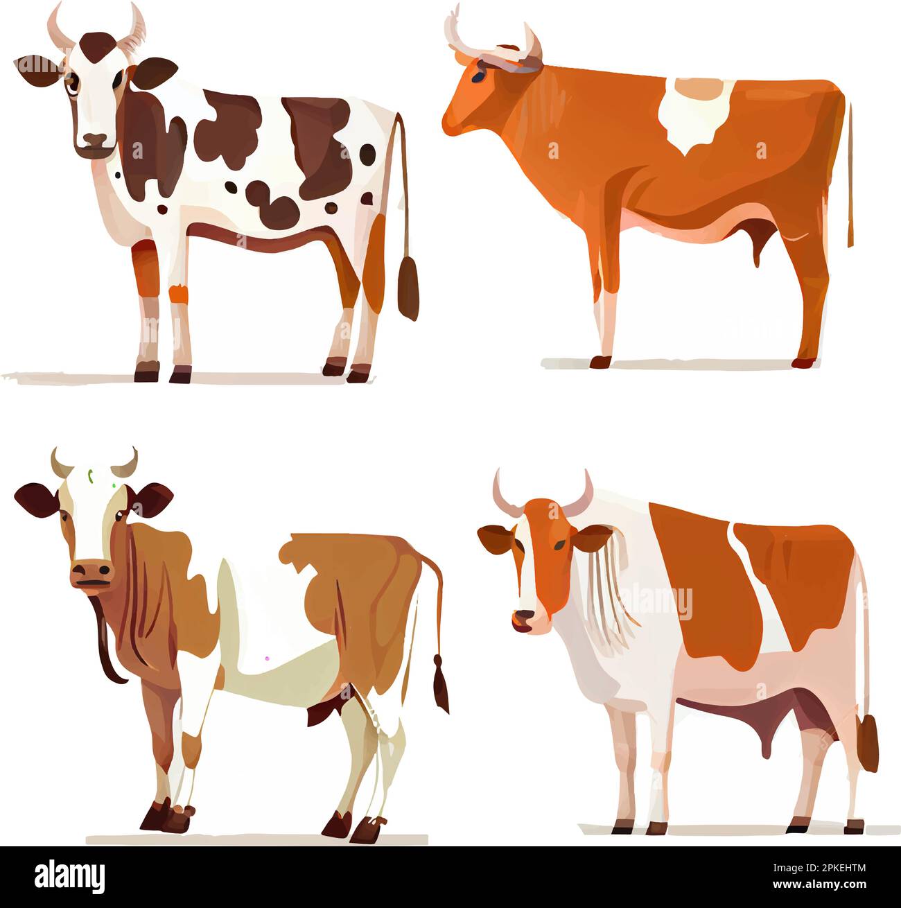 set vector illustration of sacred animal of india cow isolated on white ...