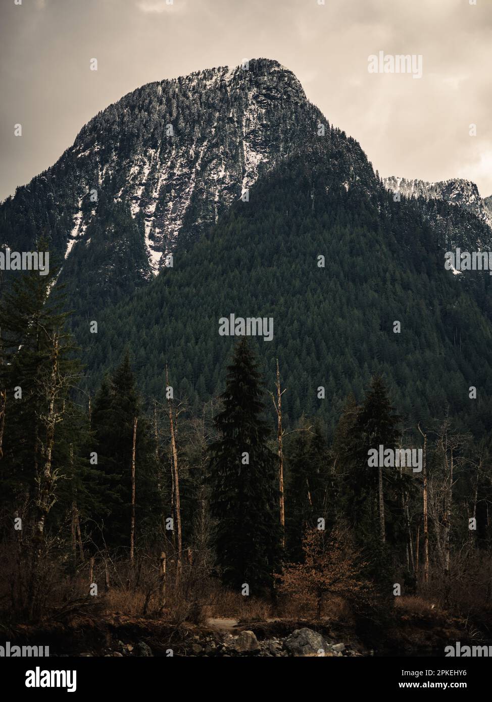 Golden Ears Provincial Park in Maple Ridge, BC, Canada Stock Photo - Alamy