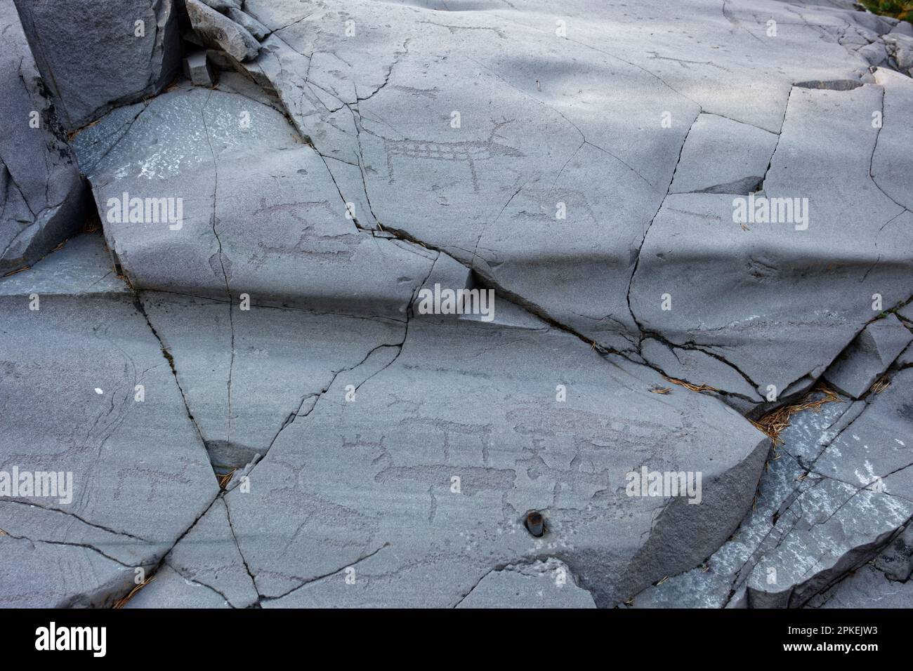 Stone carvings in Alta Museum, Troms og Finnmark County, Norway Stock ...