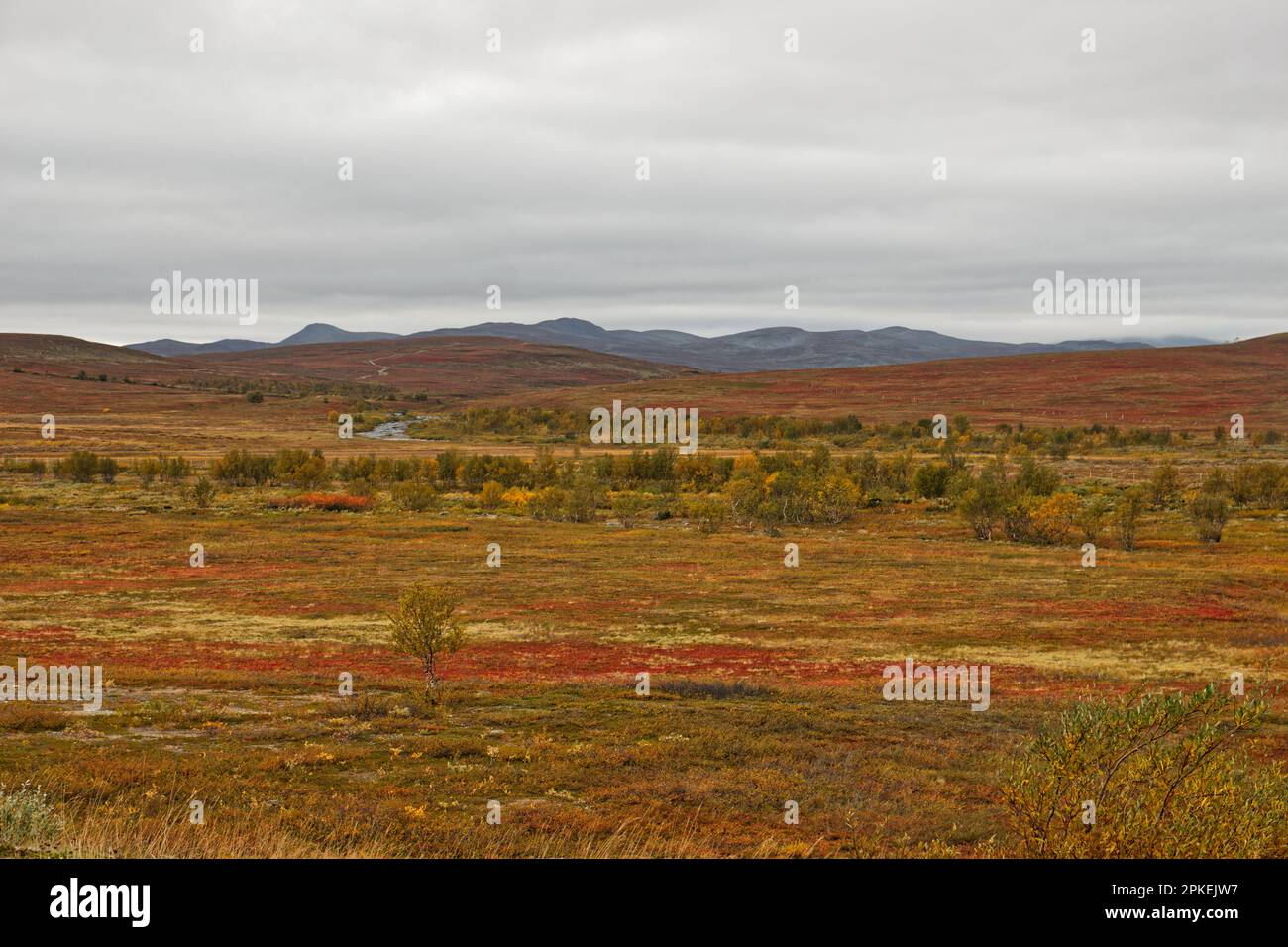 Early autumn landscape of Troms og Finnmark County, Norway Stock Photo ...