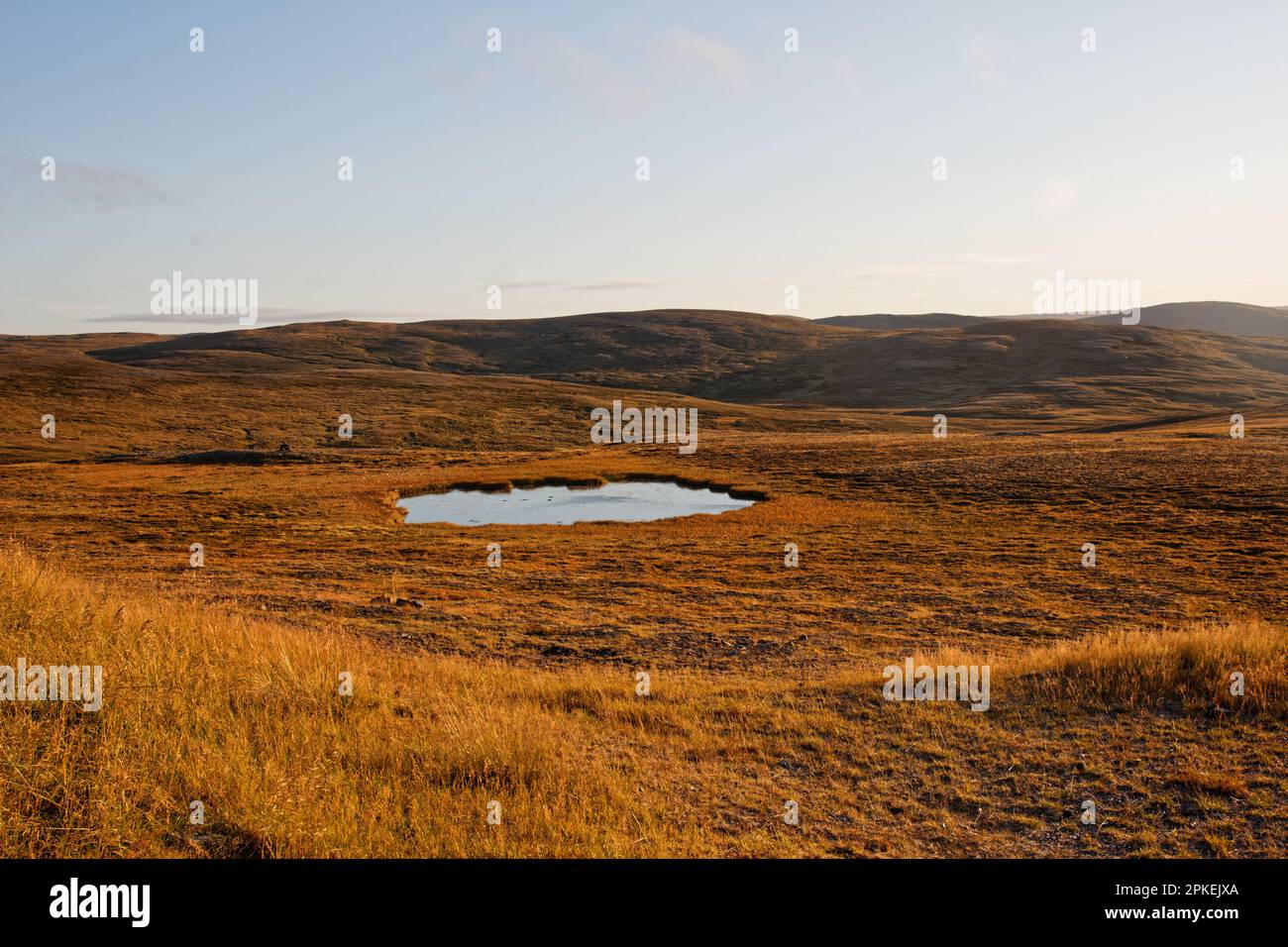 Mageroya puddle hi-res stock photography and images - Alamy