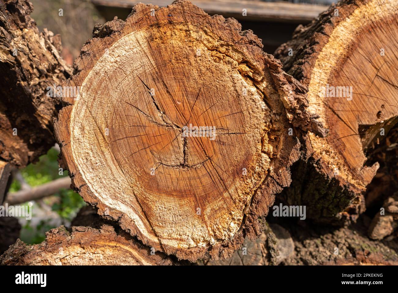 Cut close hi-res stock photography and images - Alamy