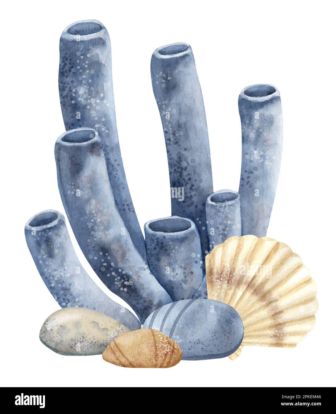 Underwater Coral Reefs and seashell on isolated background. Hand drawn ...