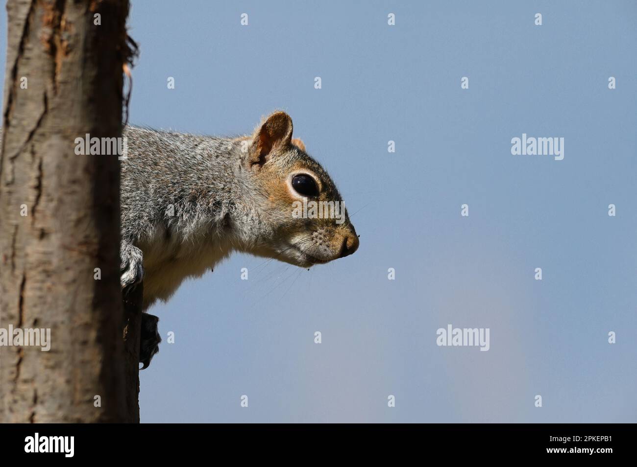 Dwt lock lane hi-res stock photography and images - Alamy