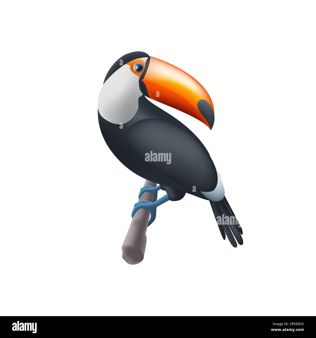 Toucan on a tree branch 3d render illustration isolated on a white ...