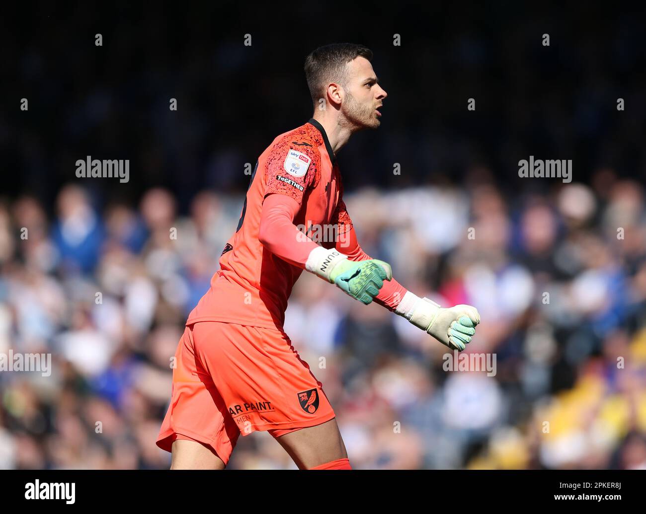 Norwich City's Angus Gunn celebrates after Liam Gibbs scores their side ...