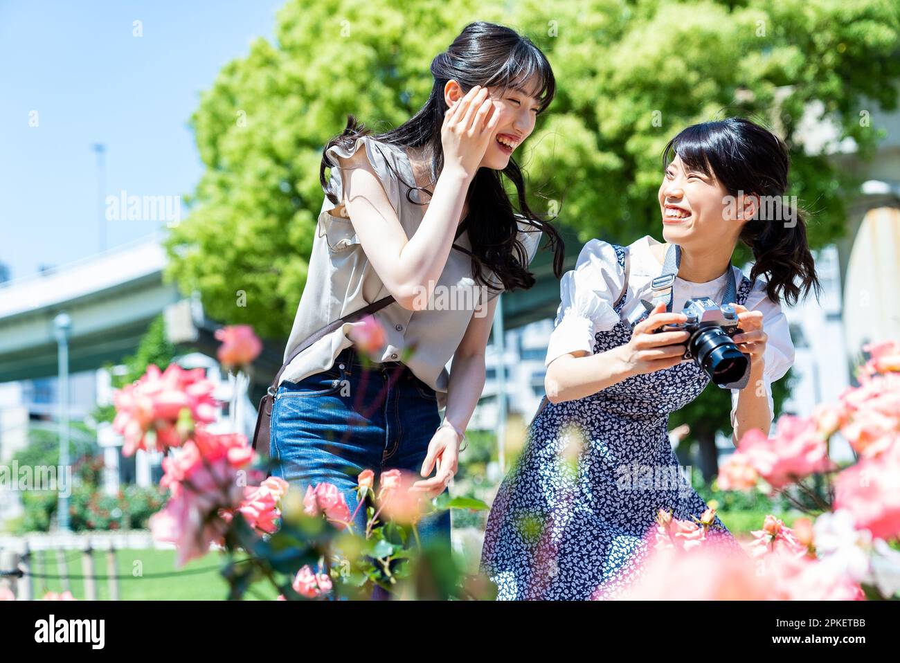 Woman taking pictures of flowers Stock Photo - Alamy