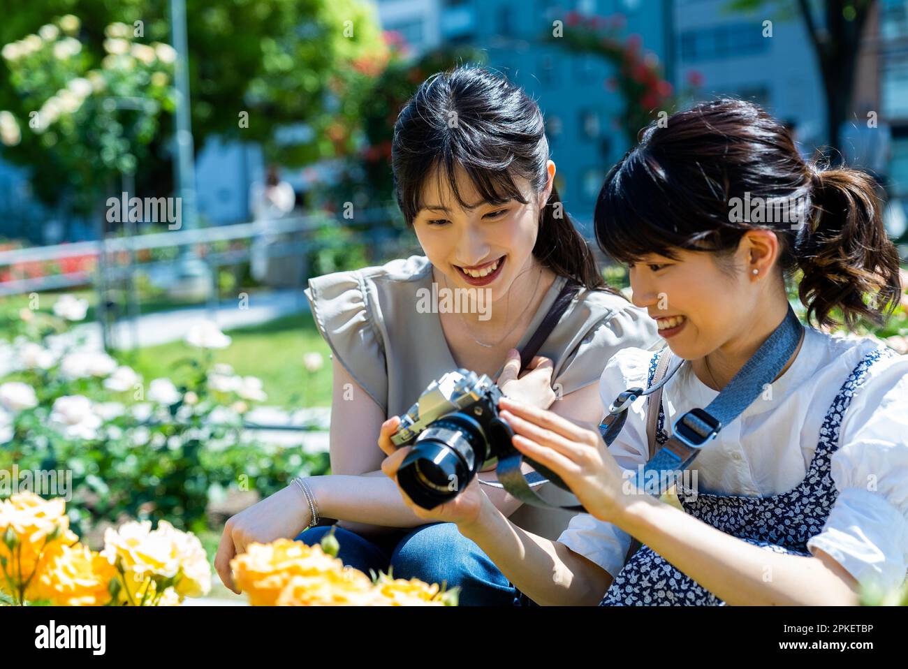 Woman taking pictures of flowers Stock Photo - Alamy