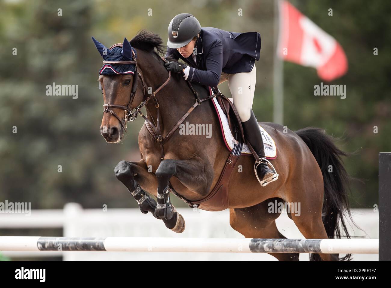 Sara Tindale of Canada competes at Major League Show Jumping event in ...