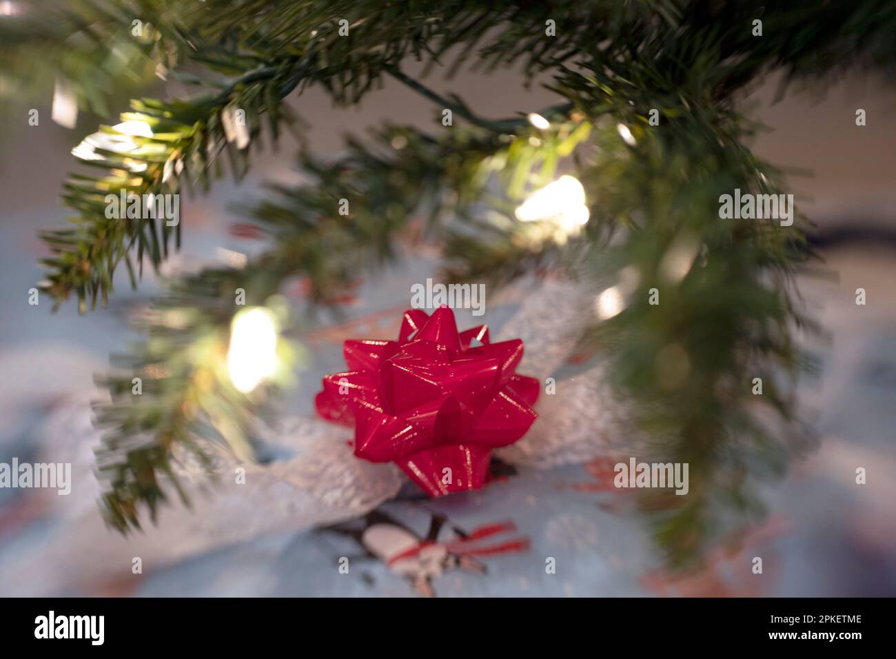 The giving tree hi-res stock photography and images - Alamy