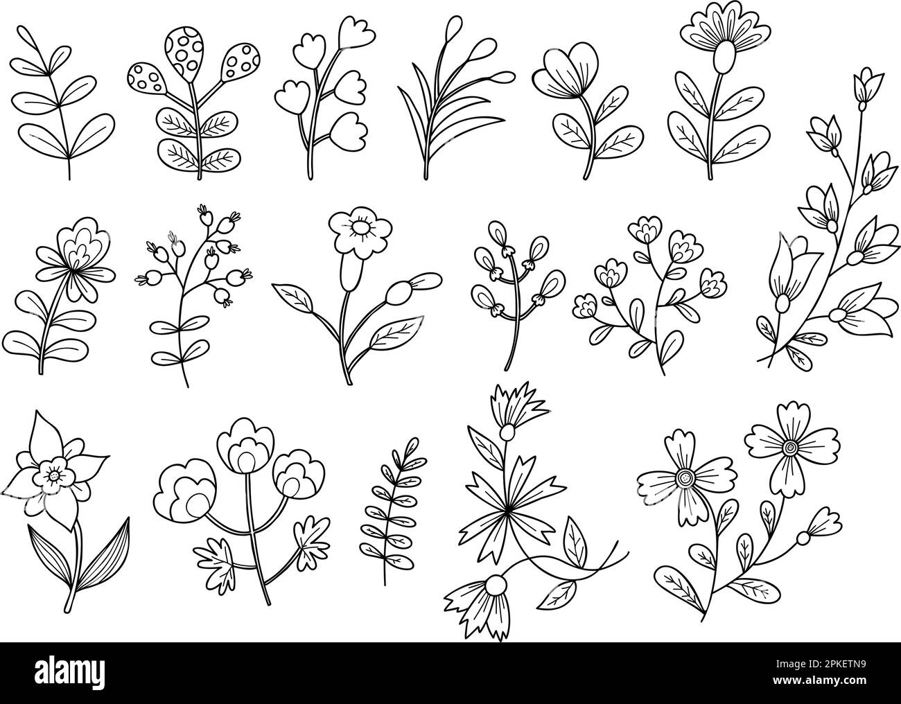 Collection various flowers and branches. Vector illustration. Isolated ...