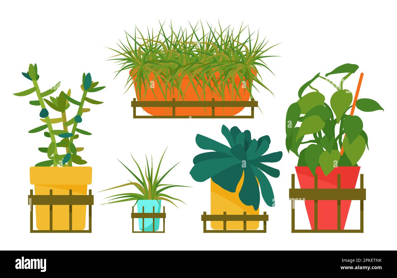 Set of house plants. Interior Scandinavian design. Design element ...