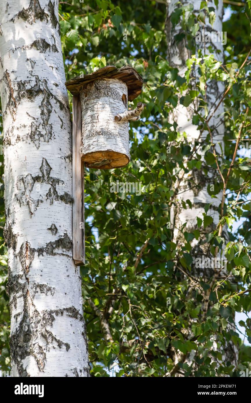 Home made birch bark hi-res stock photography and images - Alamy