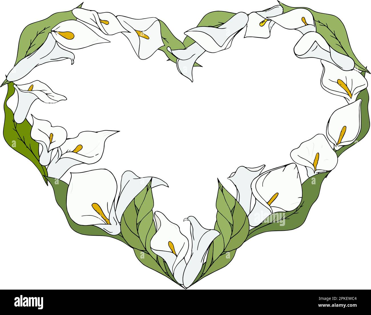 Zantedeschia flower heart of elements isolated on white background ...