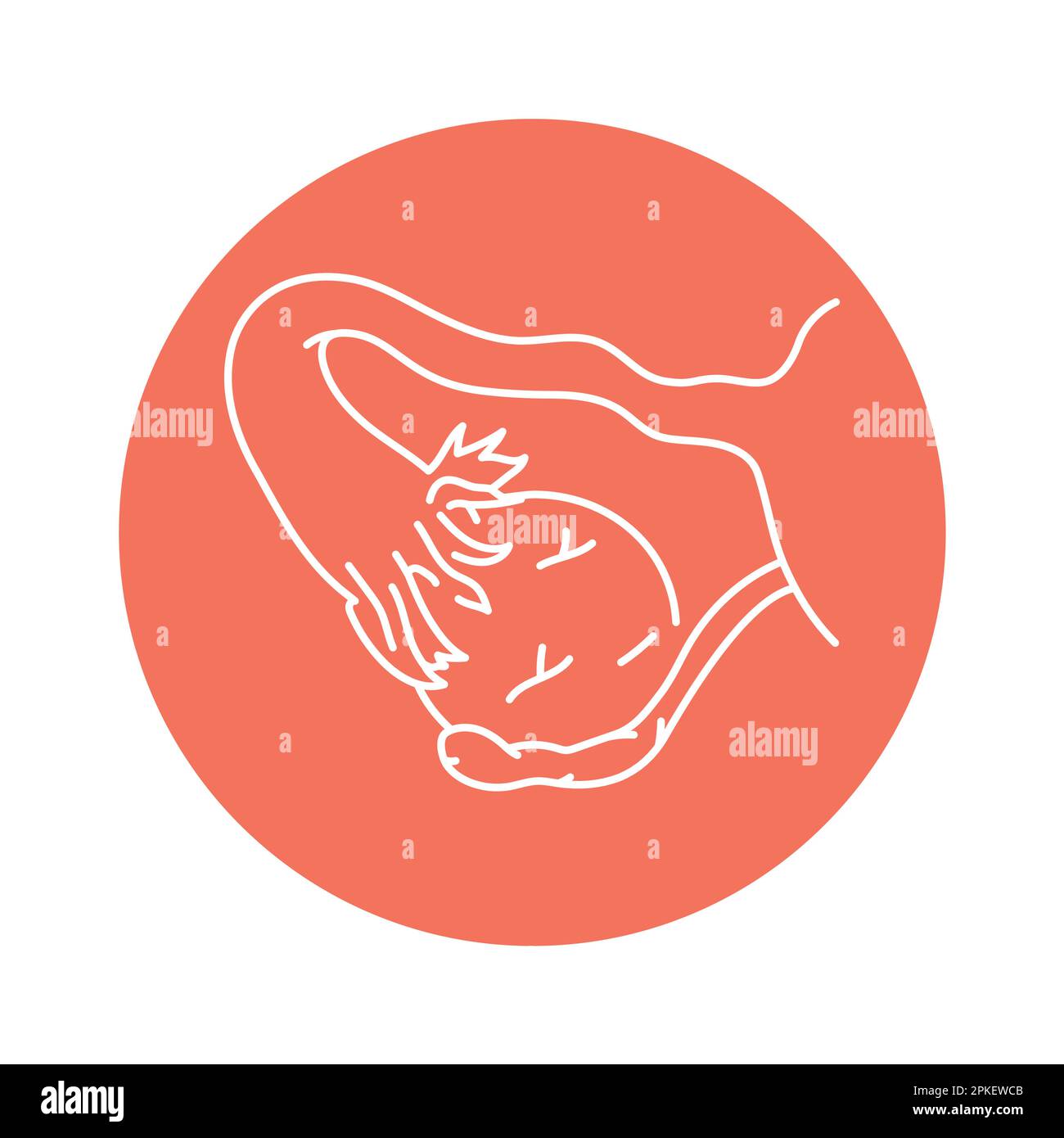 Cyst color line icon. Gynecology problem. Pictogram for web page ...