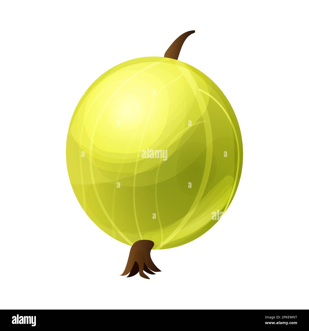 Gooseberry juicy plant in cartoon style isolated on white background ...