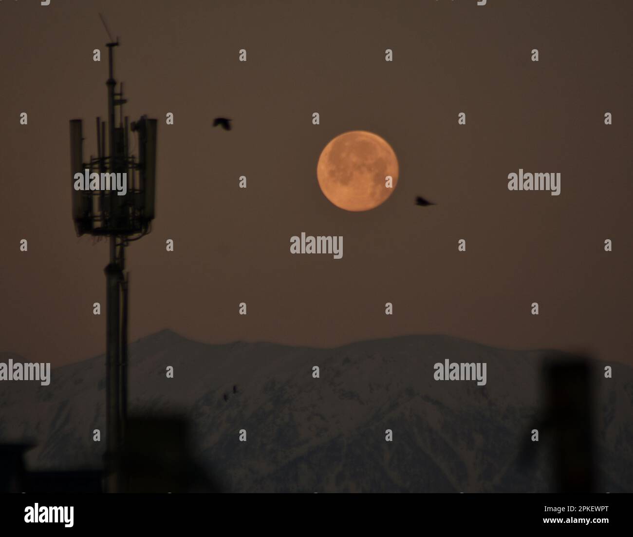 Srinagar, India. 07th Apr, 2023. Full moon sets above Snow covered ...