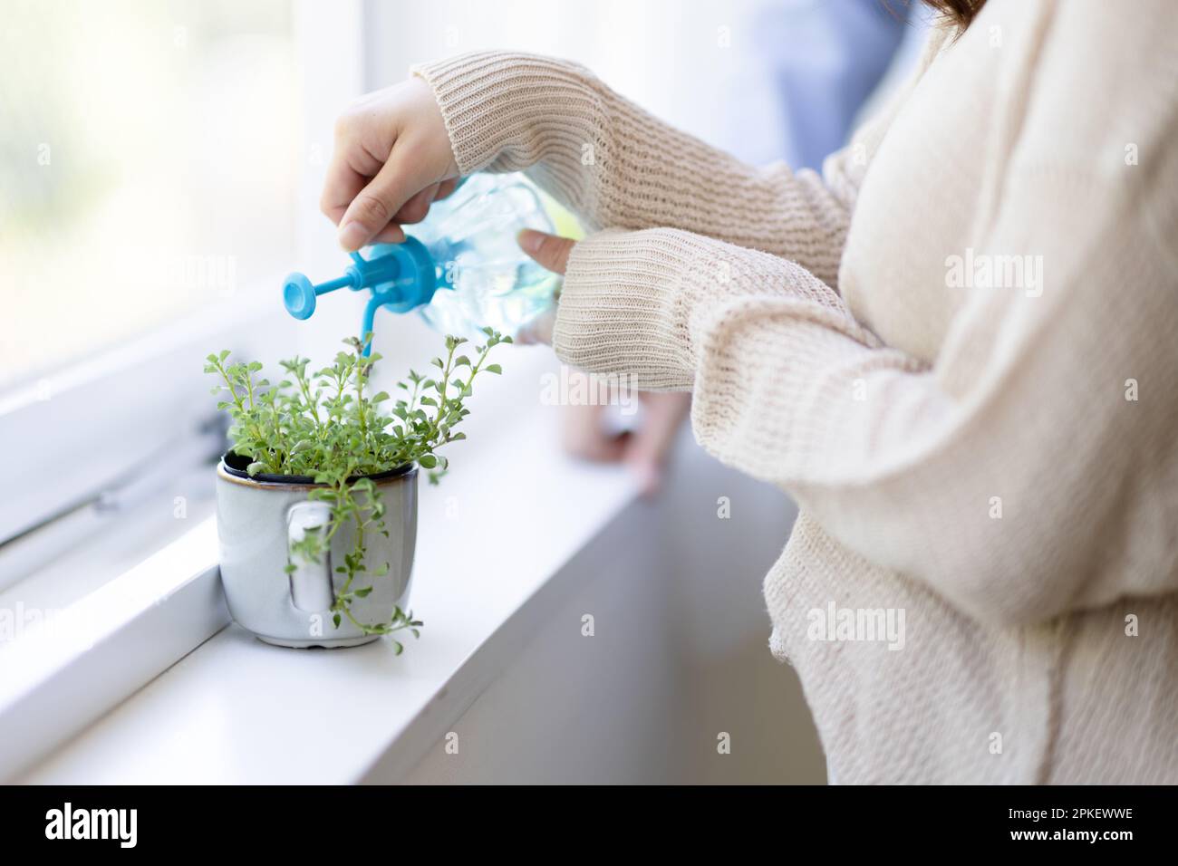 Woman's hand watering Stock Photo - Alamy