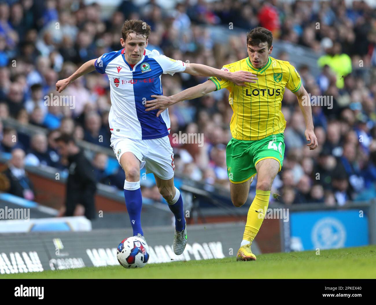 Blackburn Rovers' Tyler Morton and Norwich City's Liam Gibbs (right ...