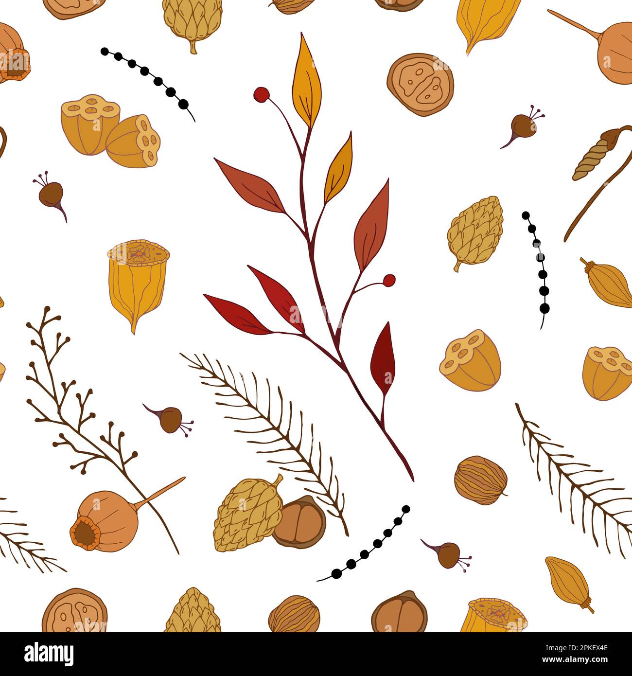 Autumn berries seamless pattern. Hand drawn vector illustration Stock ...