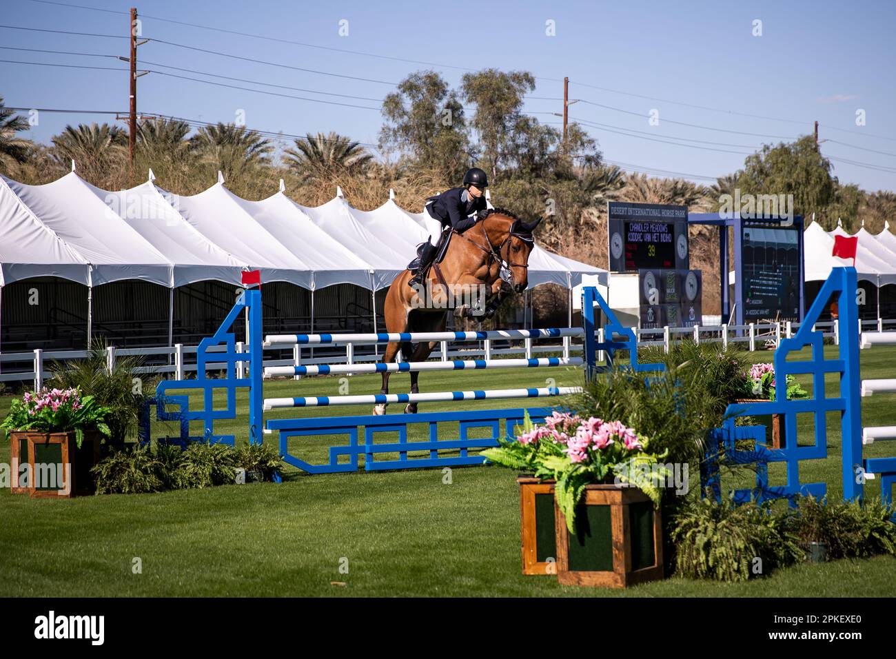 Chandler Meadows of the United States competes at a Major League Show ...
