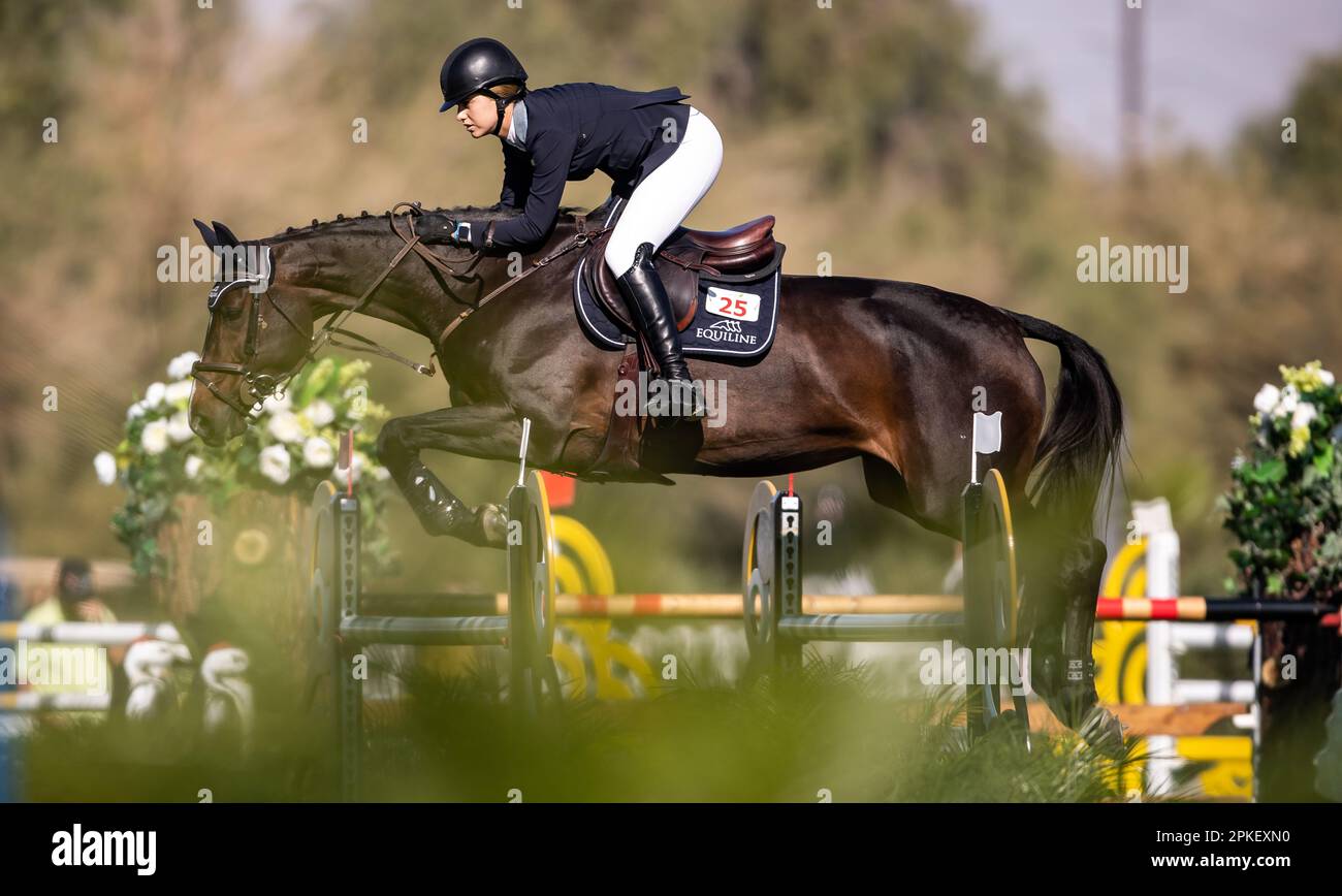 Female major horse hi-res stock photography and images - Alamy