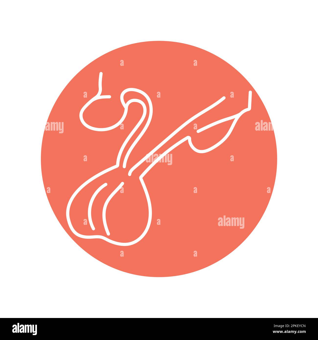 Hypothalamus color line icon. Endocrine system. Pictogram for web page ...