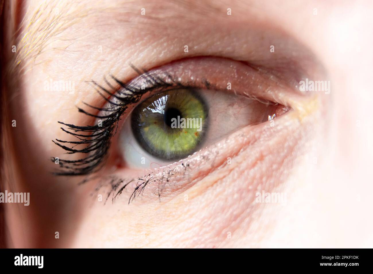 Womans green eye close hi-res stock photography and images - Alamy