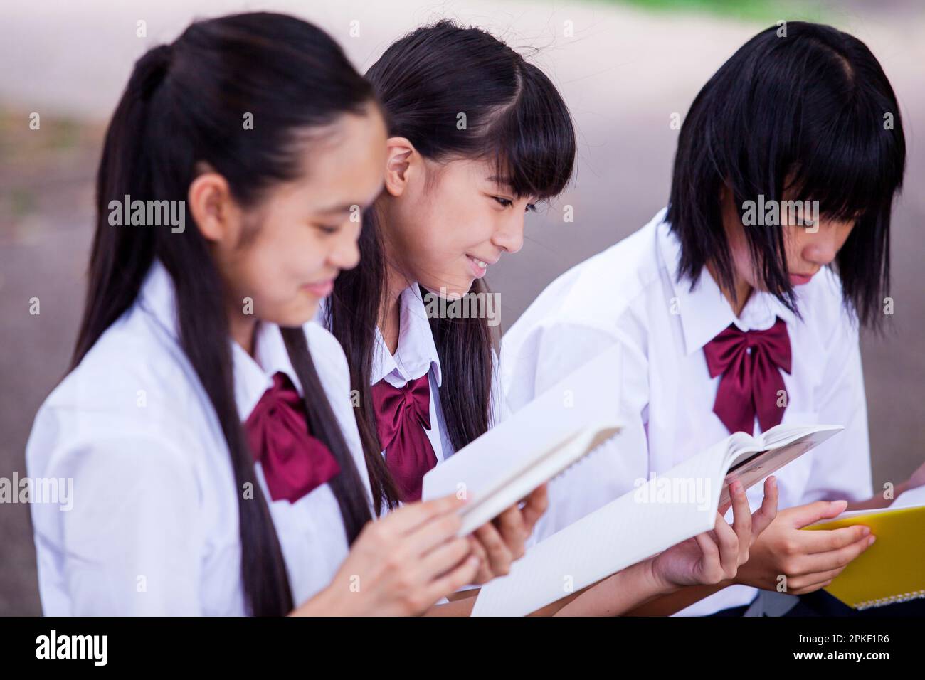Junior high school students reading notebooks outdoors Stock Photo - Alamy