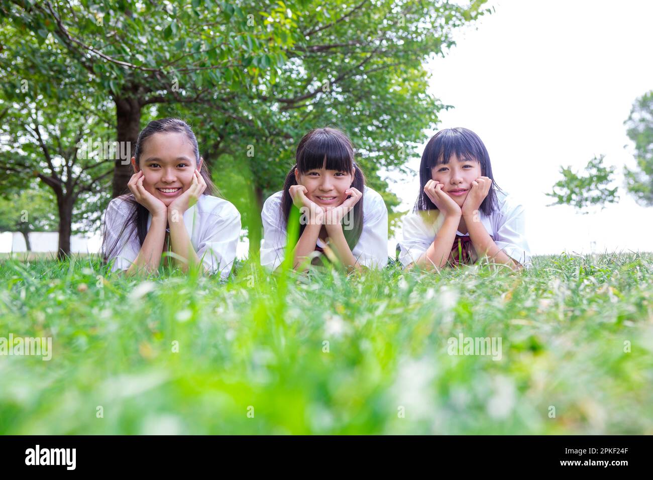 Junior high school student lying on the grass with his cheekbones on ...