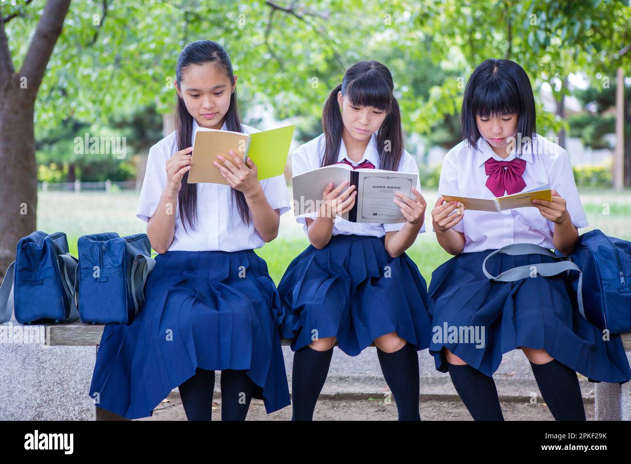 Junior high school students studying on the bench Stock Photo - Alamy