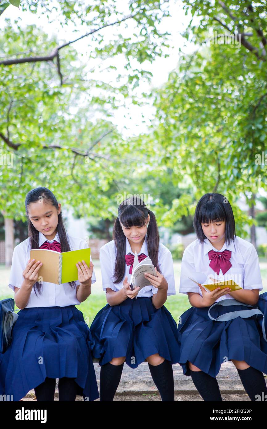 Junior high students studying on the bench Stock Photo - Alamy