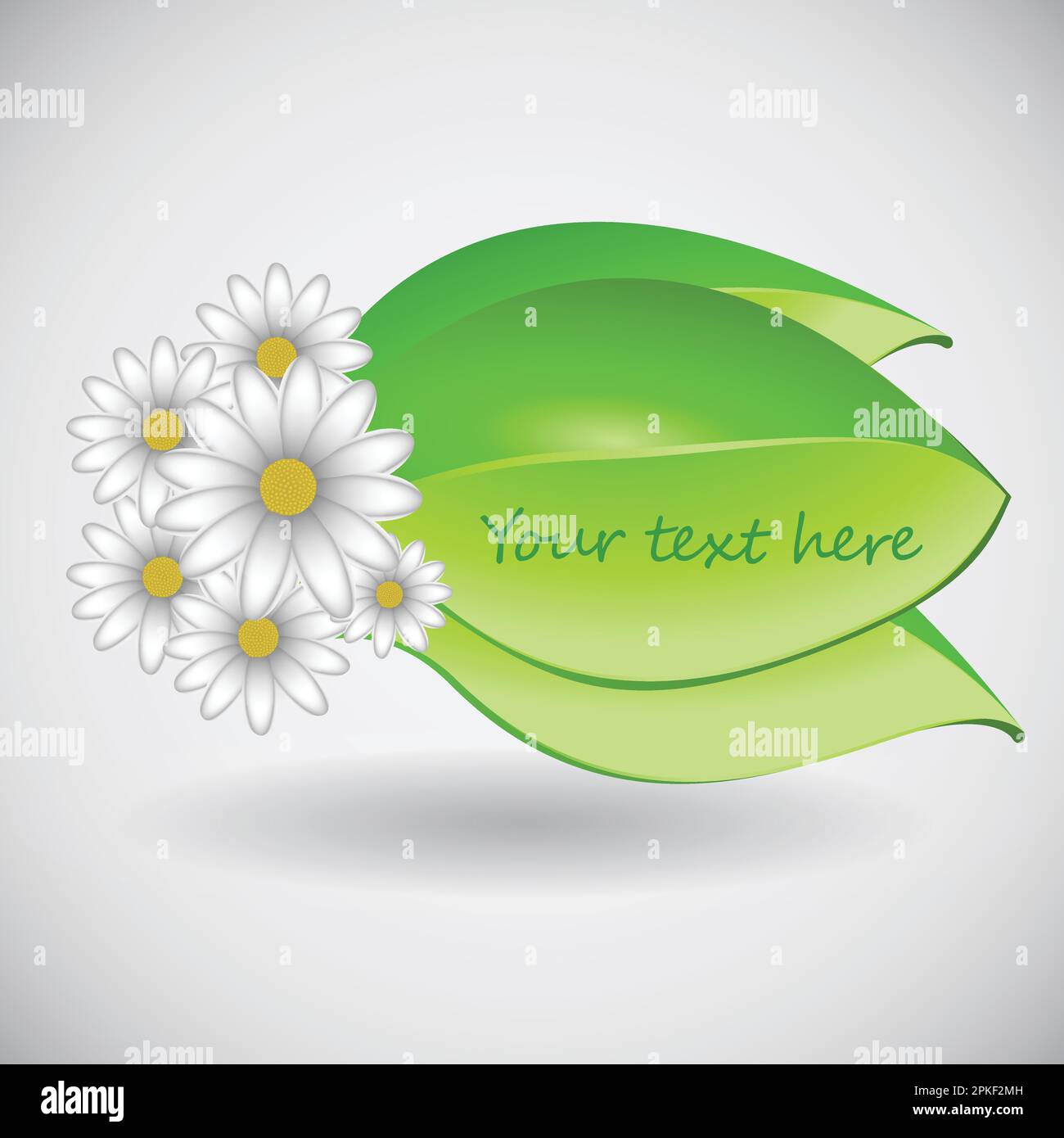 Floral Speech Bubble Template Stock Vector Image & Art - Alamy