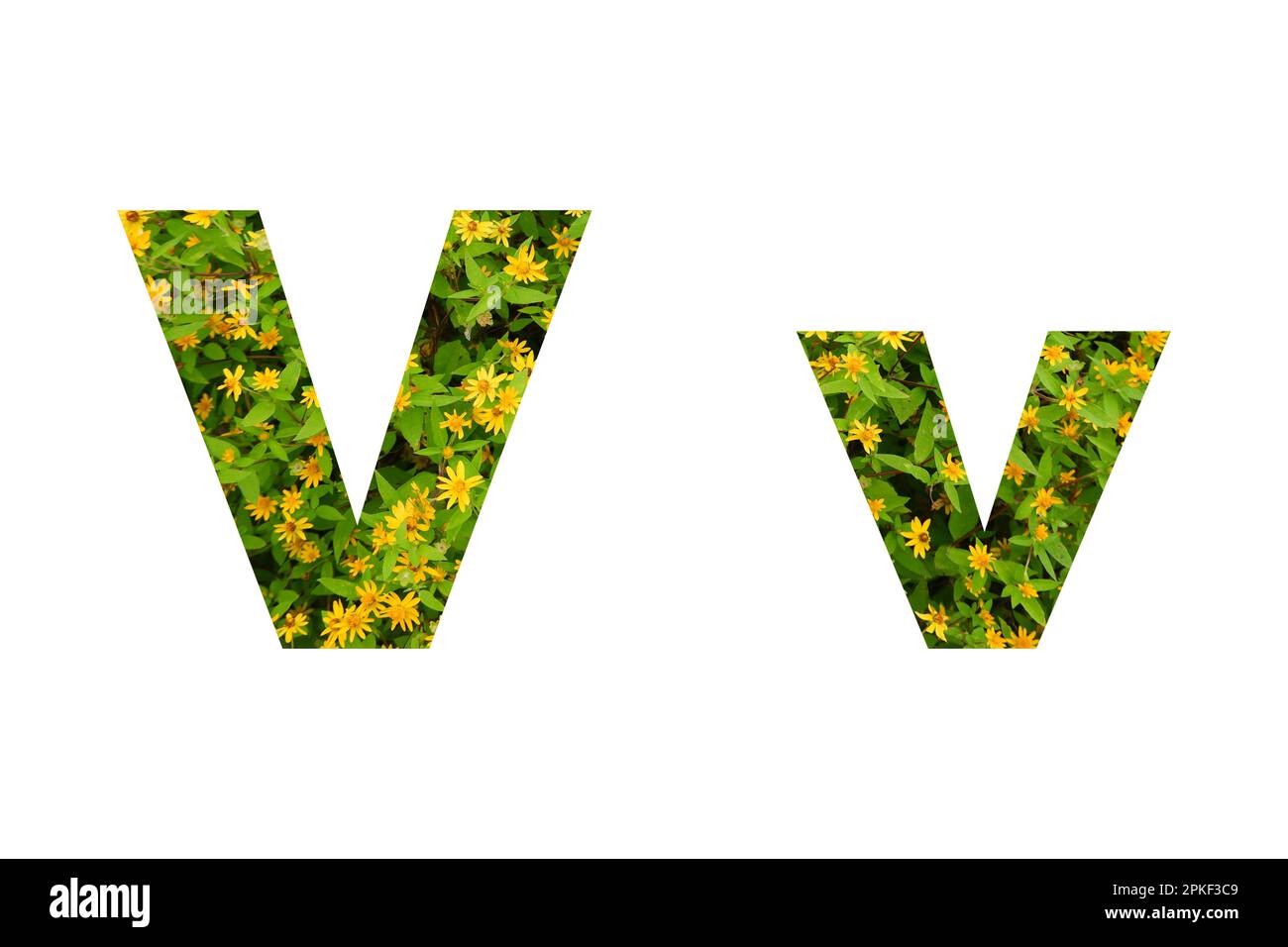 Spring alphabet with flowers letters e hi-res stock photography and ...