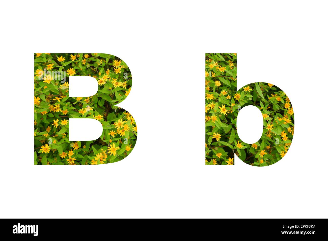 Letter B Clipart