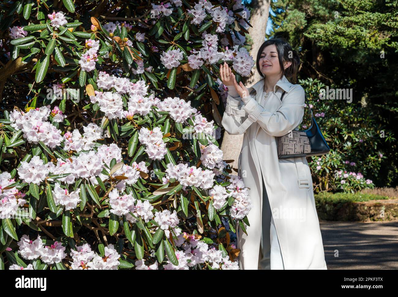 Royal Botanic Garden, Edinburgh, Scotland UK, 7th April 2023. UK ...