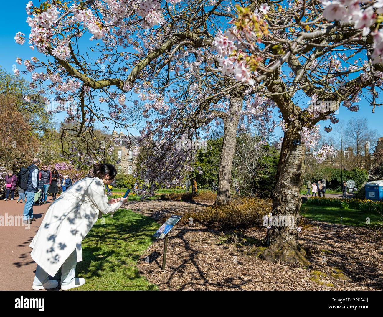 Photo alamy royal hi-res stock photography and images - Alamy