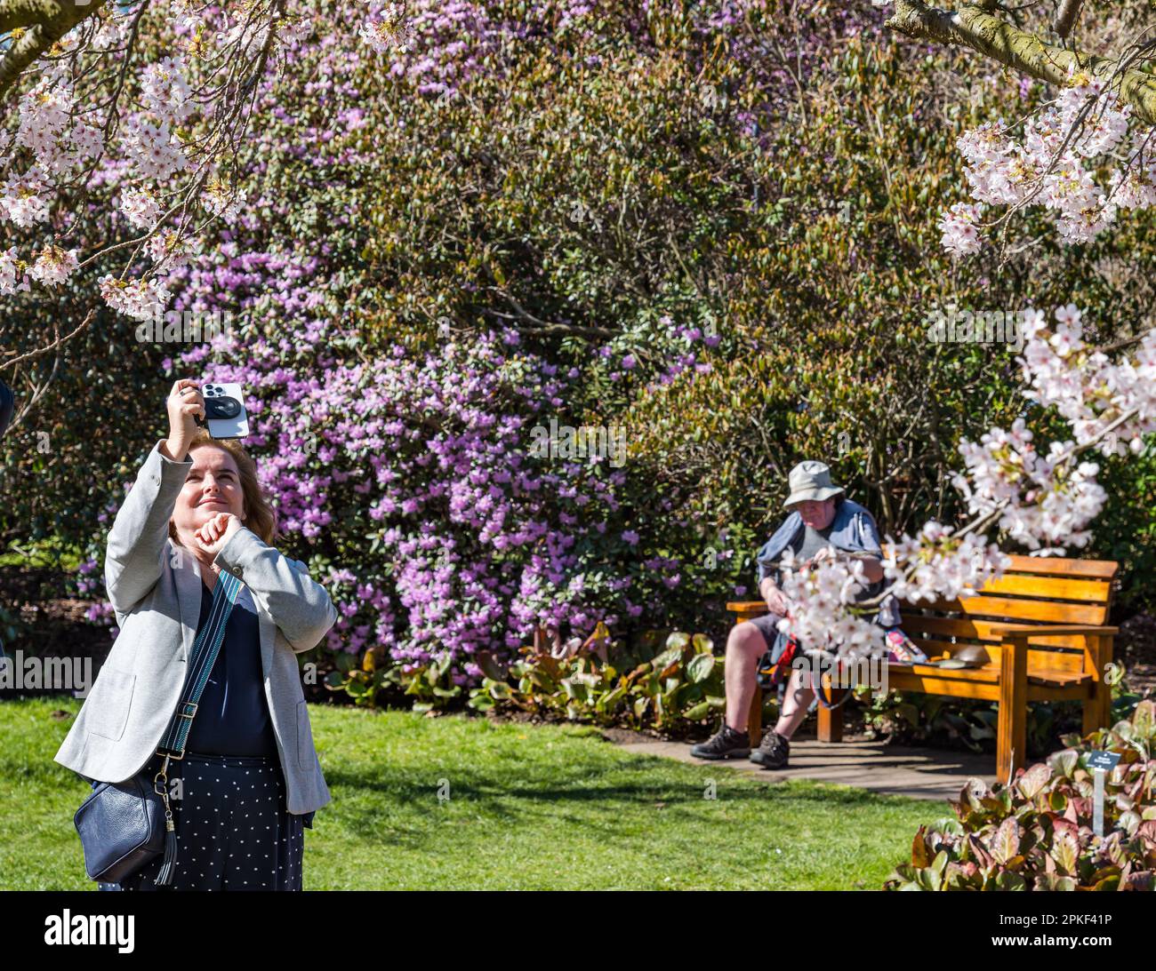 Royal Botanic Garden, Edinburgh, Scotland UK, 7th April 2023. UK ...