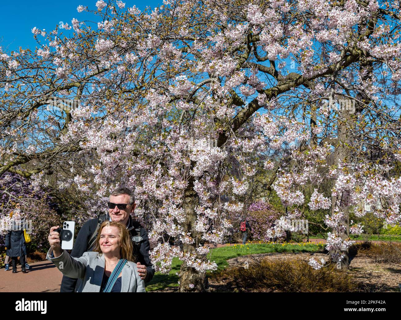 Edinburgh couple spring hi-res stock photography and images - Alamy