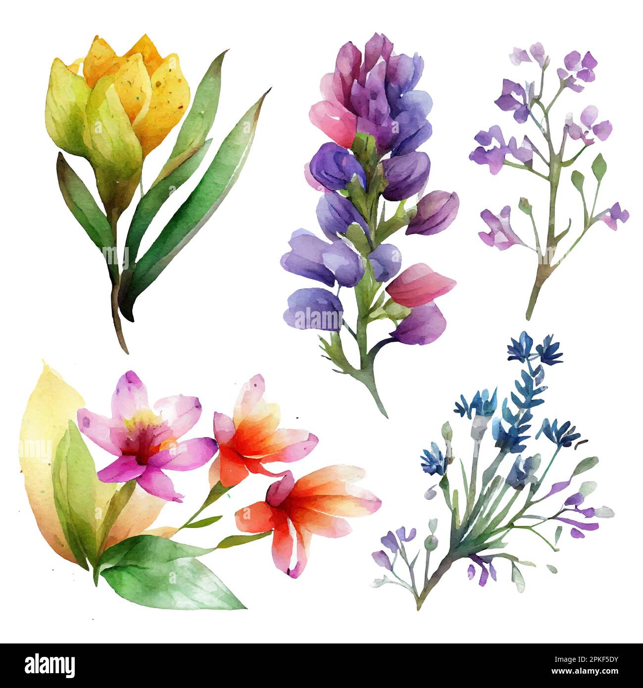 set vector illustration of bloming flowers isolate background ...