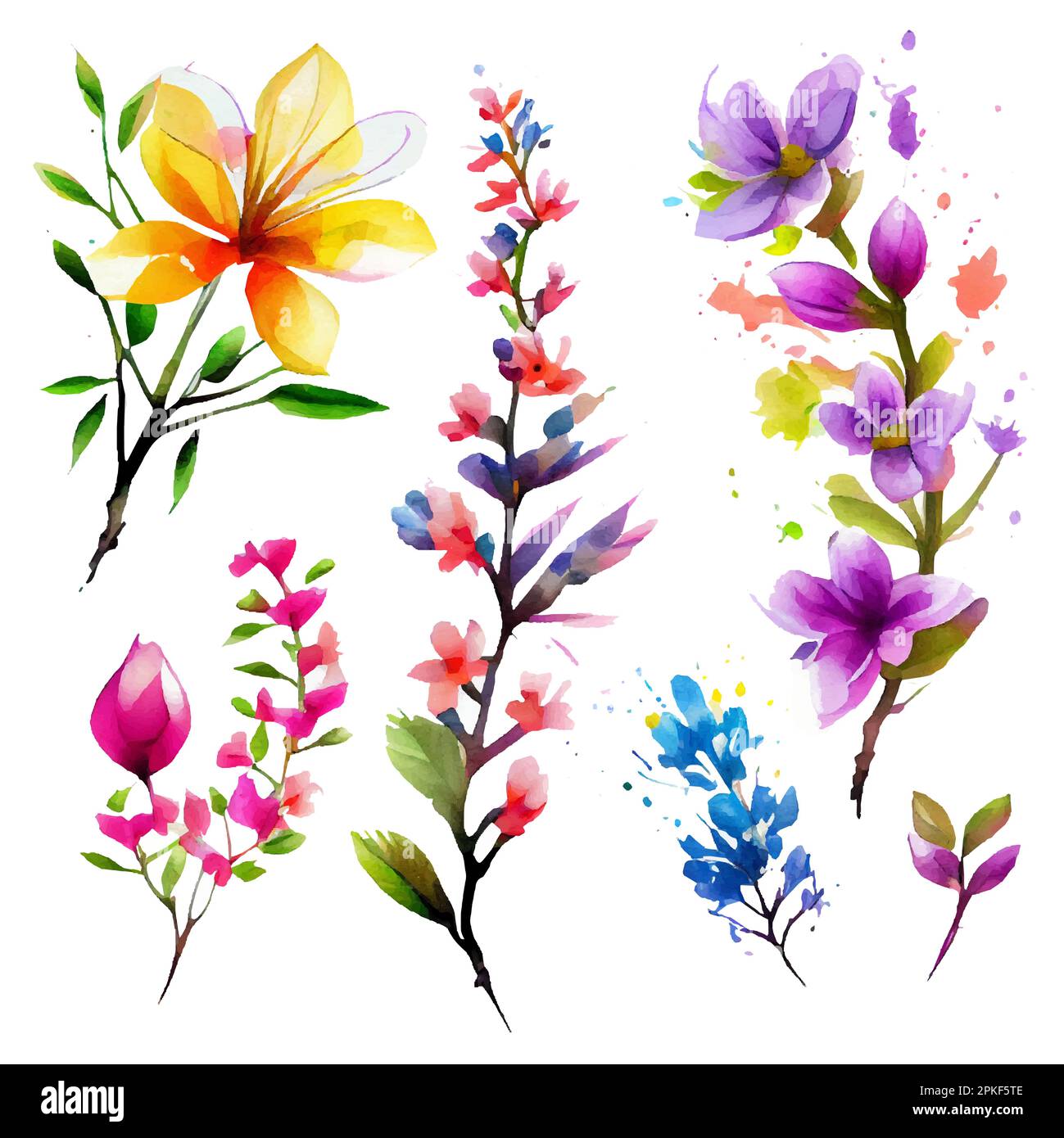 set vector illustration of bloming flowers isolate background ...