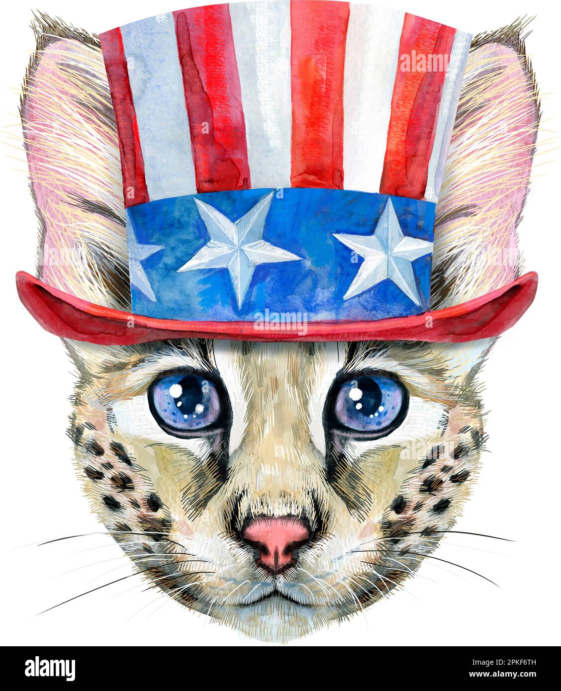 Cute cat in Uncle Sam's hat. Cat for t-shirt graphics. Watercolor ...