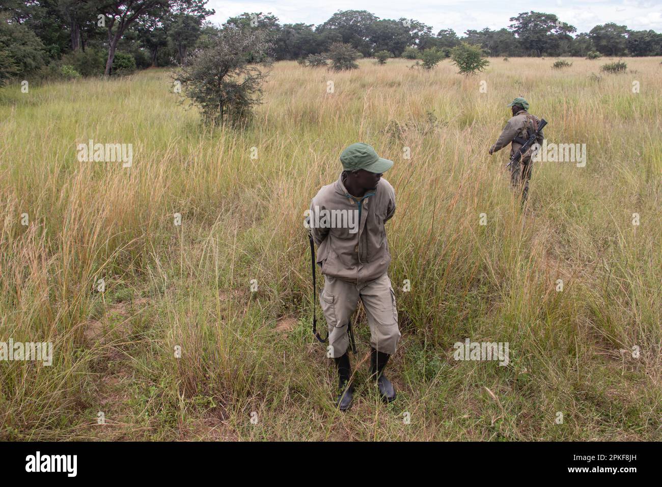Conservation officer elephant hi-res stock photography and images - Alamy