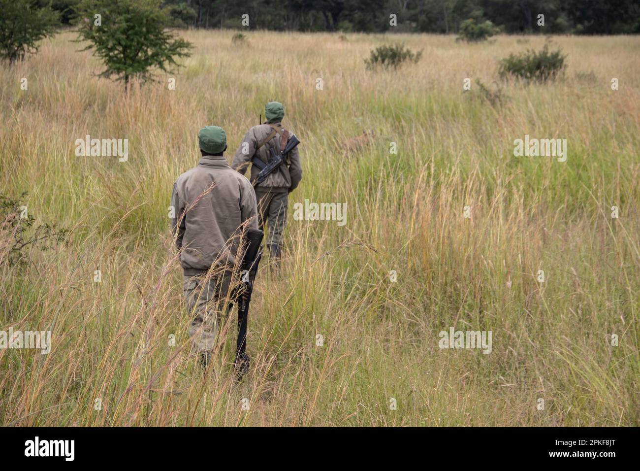 Rangers armed with guns in animal conservation park in Zimbabwe, in ...