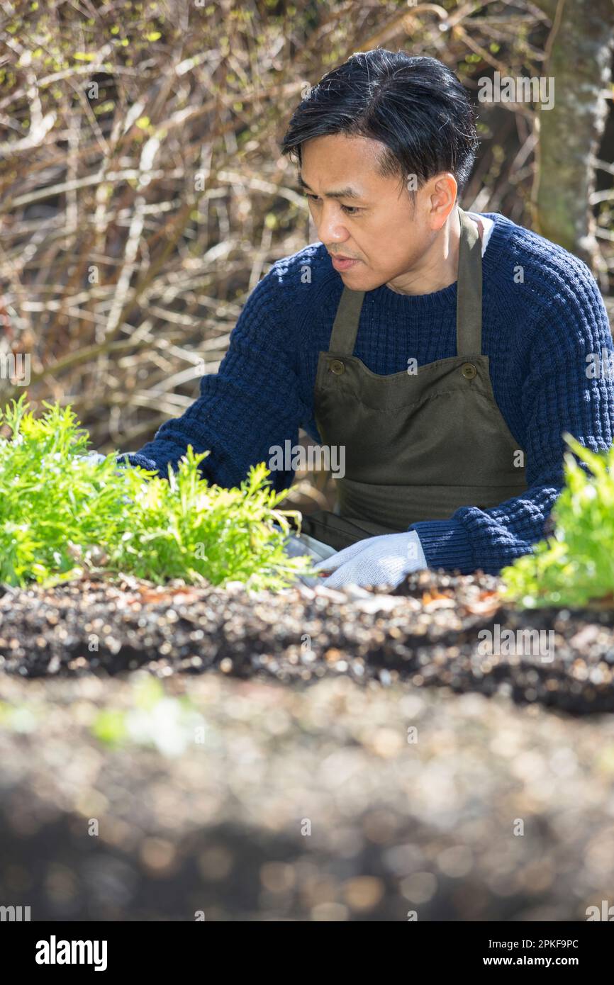 Man doing farm work Stock Photo - Alamy