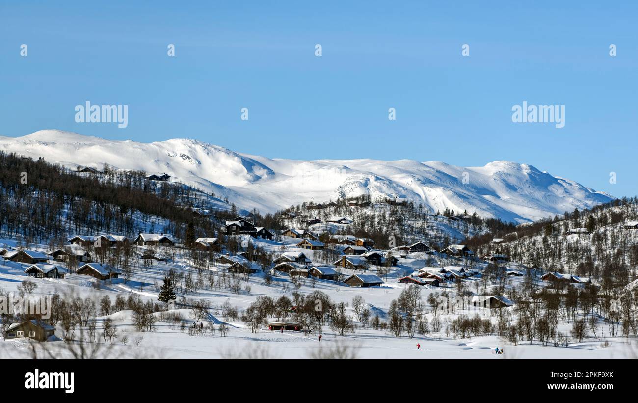 Settlement with private cabins in the winter landscape at Rauland ...