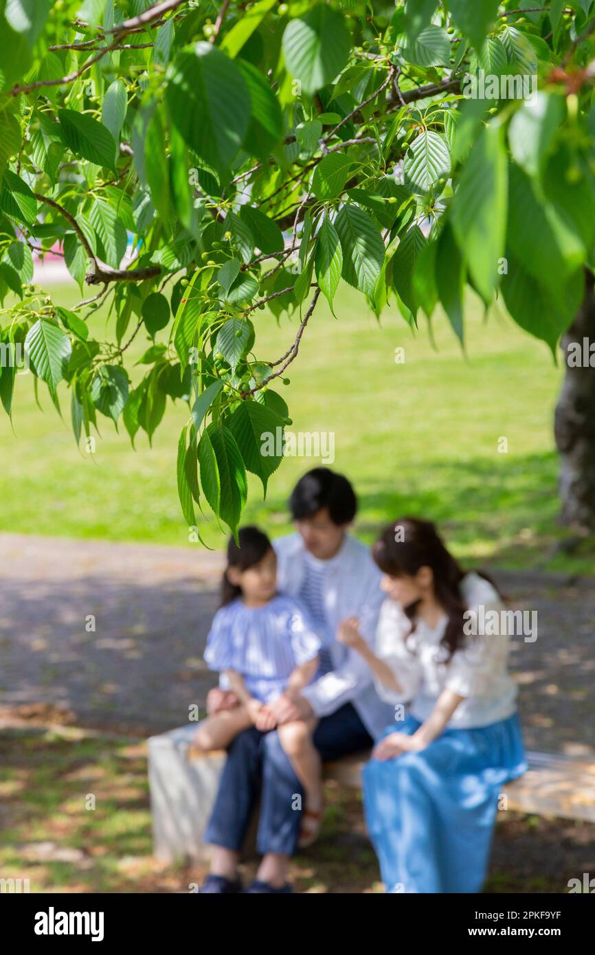 Family sitting on a bench Stock Photo - Alamy